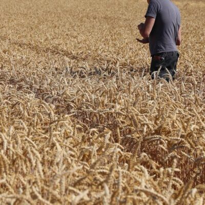 Should You Care About Yearly Maintenance of Your Moisture Tester ...