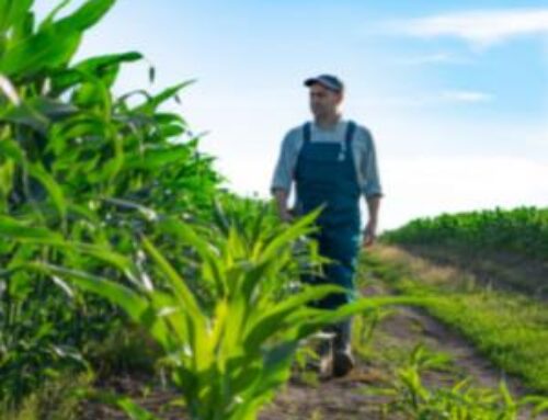 Grain Moisture Monitoring – Corn Belt Testing